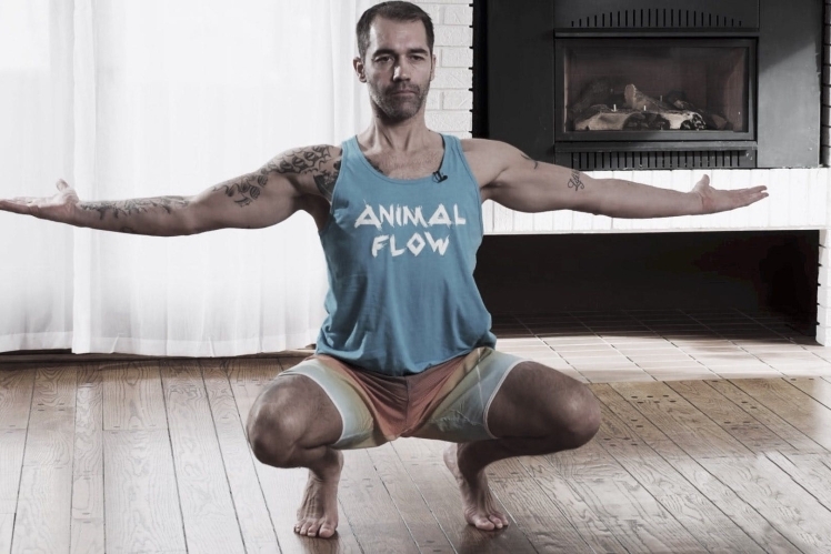 ¿Qué es Animal Flow? ¿Resulta útil?
