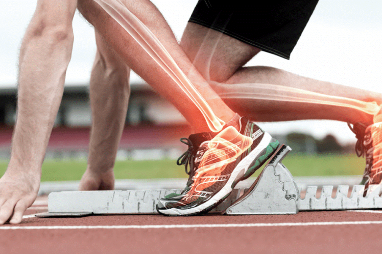 Alimentos Ricos en Calcio