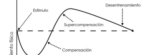 ¿Qué es la supercompensación? Conoce mejor este principio