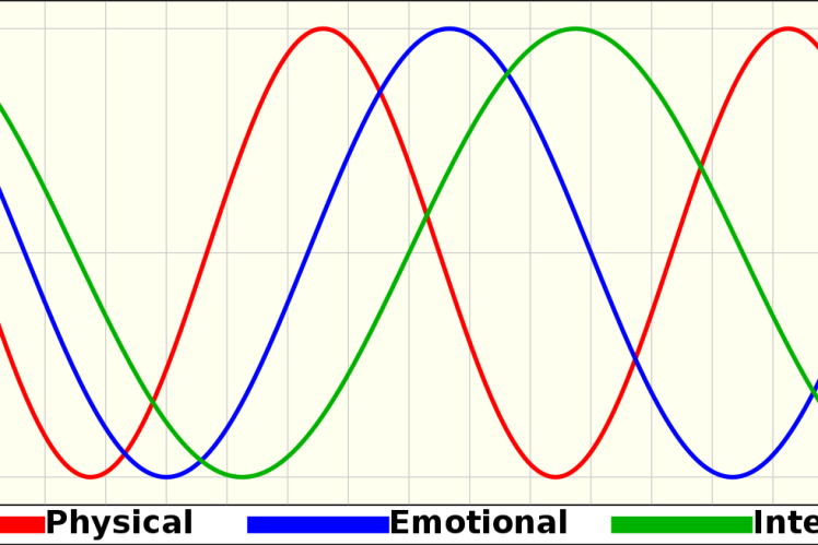 Con la definición de biorritmos anterior, pasamos a ver cuáles son los ...